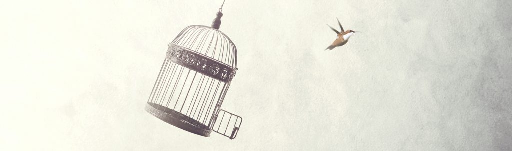 EMDR | Lisa H. Brown, MA, LMFT